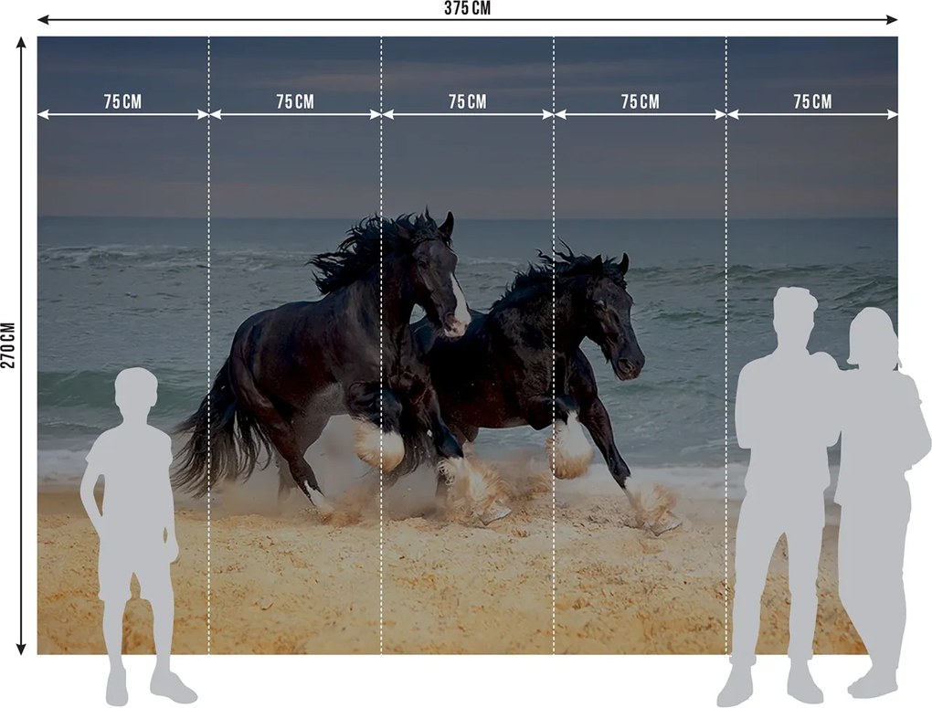 Fototapeta na míru Koně | Vliesová fototapeta na zed' | DFTNS1260