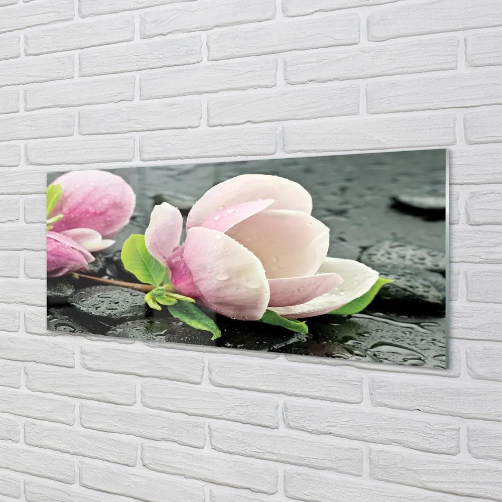 akrylový obraz Magnolia kameny 120x60 cm