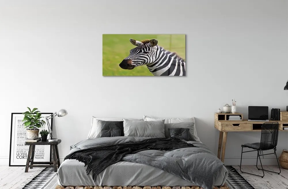 Obraz na skle zebra 120x60 cm