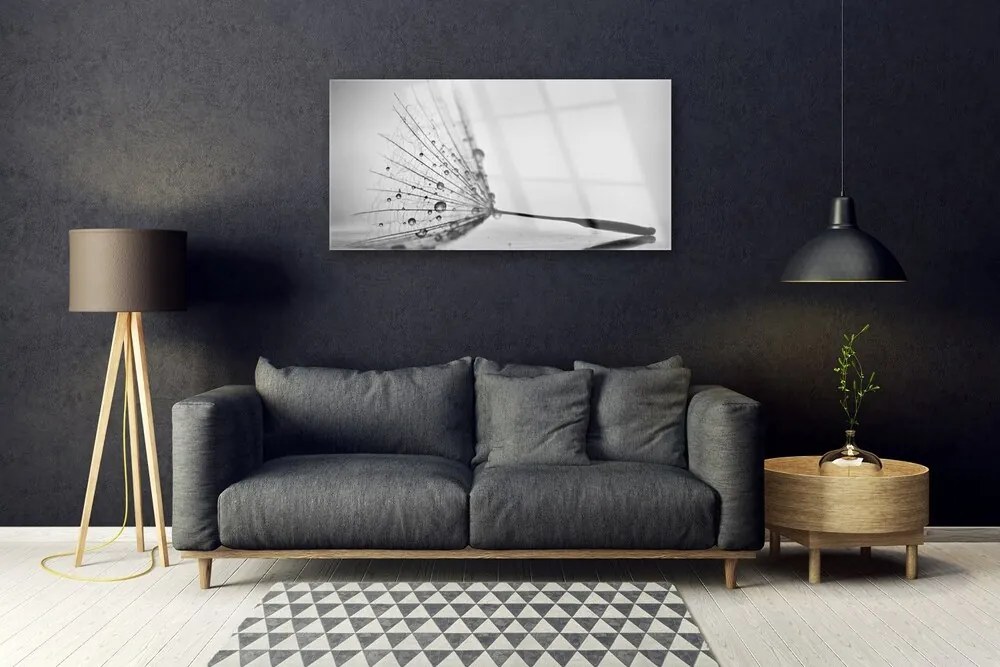 Obraz na skle Pampeliška Semínka 100x50 cm