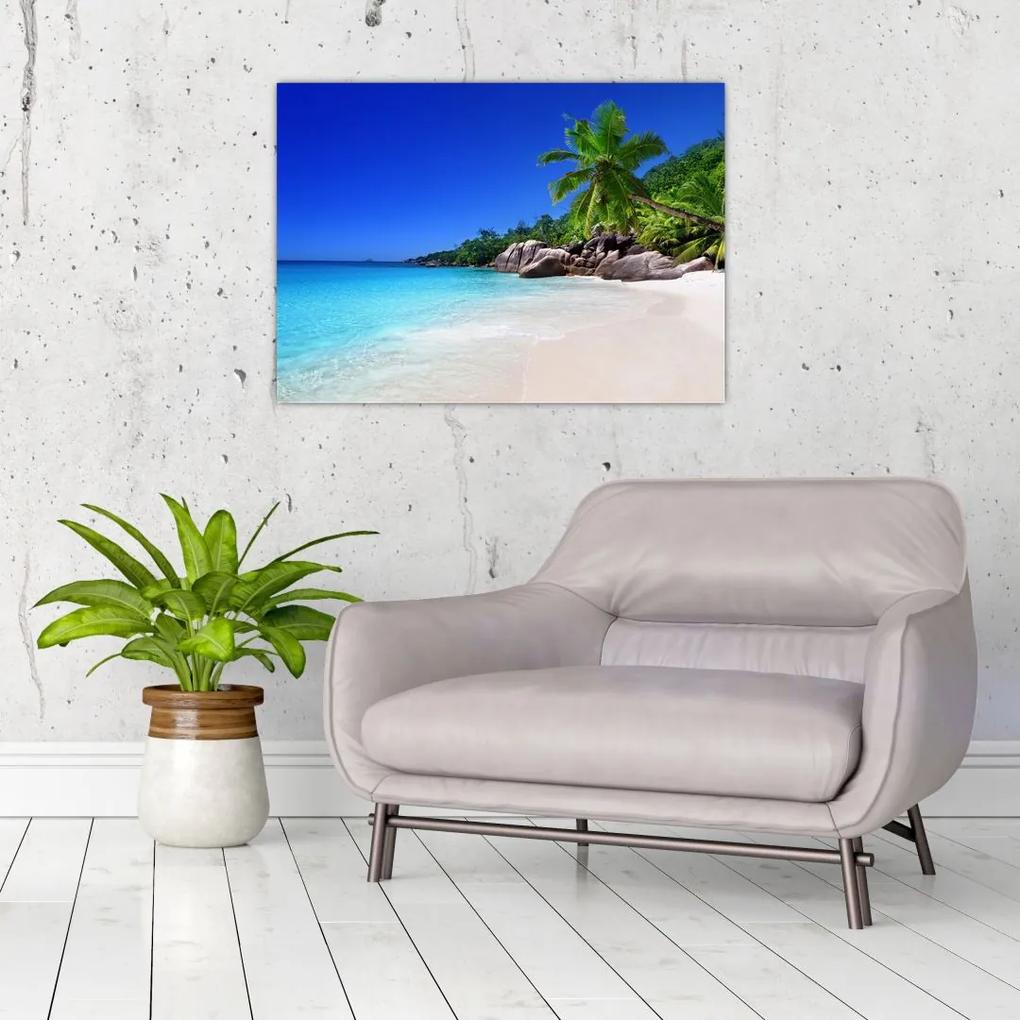 Skleněný obraz pláže na Praslin ostrově (70x50 cm)