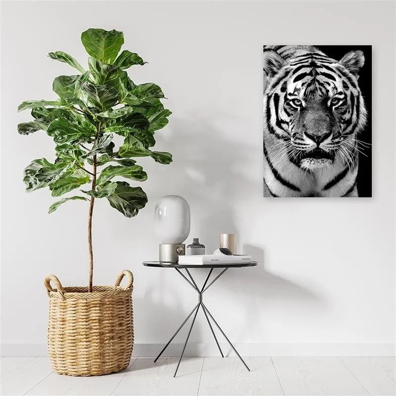 Gario Obraz na plátně Černobílý tygr Rozměry: 40 x 60 cm