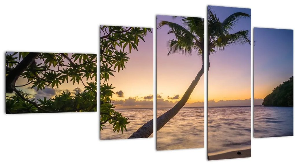 Obraz palmy na pláži (110x60 cm), 40 dalších rozměrů
