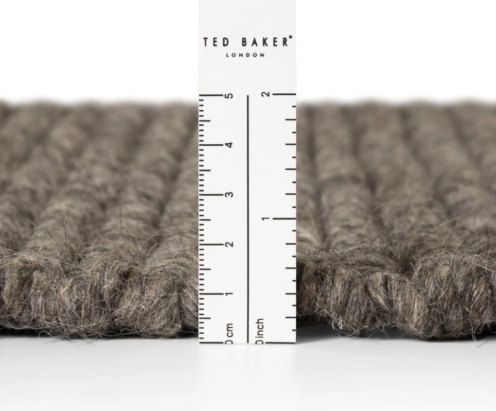 Ted Baker, Kusový koberec Ted Baker Camden 106354 Hnědá, 200x300, hnědá, dětský pokoj