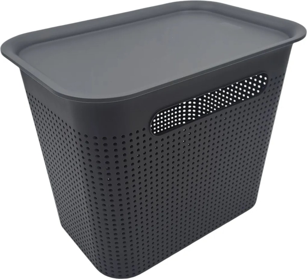 Rotho Úložný box s víkem a s madly BRISEN 7l, 26x18x21cm, černý