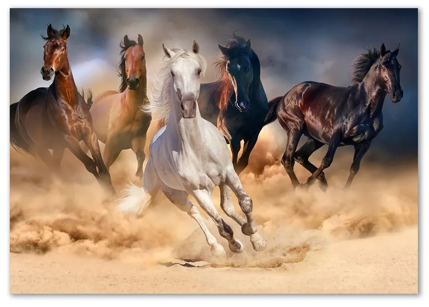 Wallmuralia Foto-obraz na skle svislý Koně ve cvalu 100x70 cm
