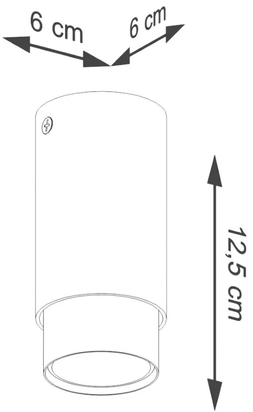 Stropní svítidlo v černo-stříbrné barvě Crown – Sollux
