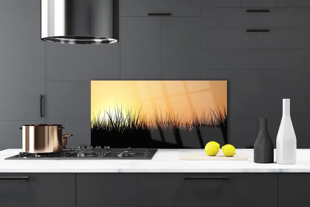 Kuchyňský skleněný panel Plevel Příroda Rostlina 120x60 cm