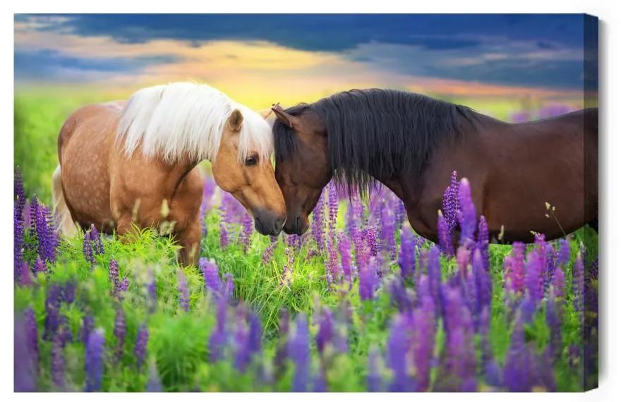 Obraz Koně V Lásce S Květinami Nedostatek Nedostatek Přírodní plátno 120x80