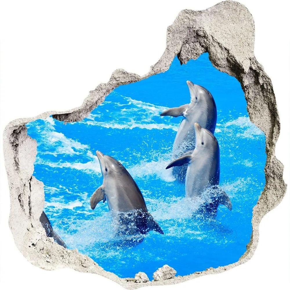 Wallmuralia Díra 3D fototapeta na stěnu nálepka Delfíni 75x75 cm