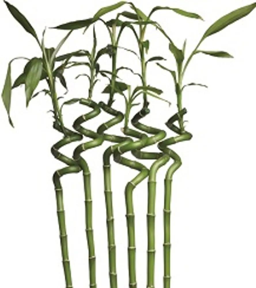 2G Lipov Chránič matrace Bamboo z přírodních vláken - 100x200 cm