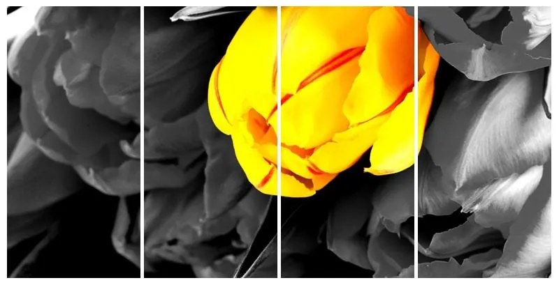 Obraz žlutooranžového květu  (160x80 cm), 40 dalších rozměrů