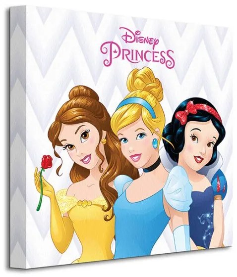 Art Group Obraz na plátně Disney Princezny (Bella, Popelka and Sněhurka) 40x40cm