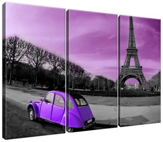 Tištěný obraz Fialový Citroën 2cv v Paříži 90x30cm 1375A_3A