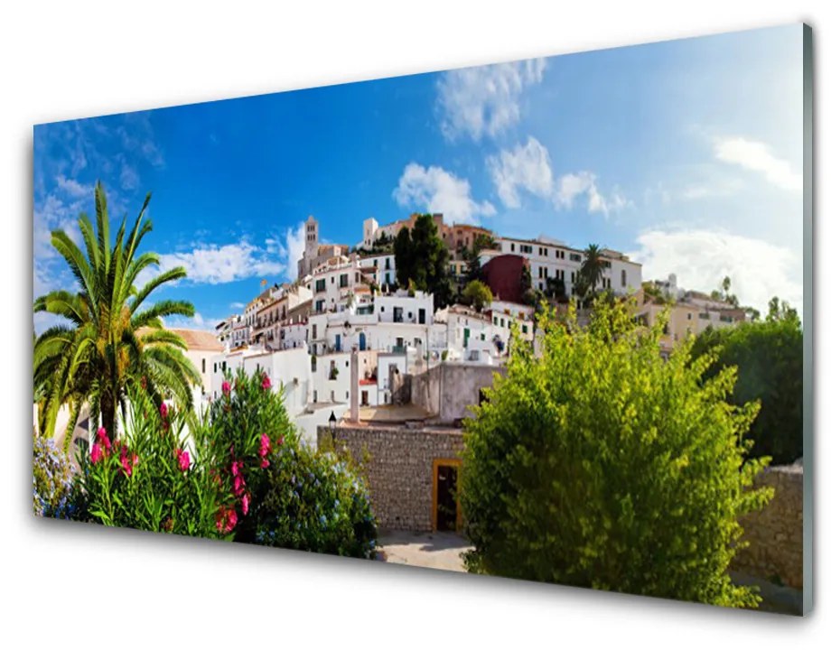 akrylový obraz Město Palma Krajina 120x60 cm
