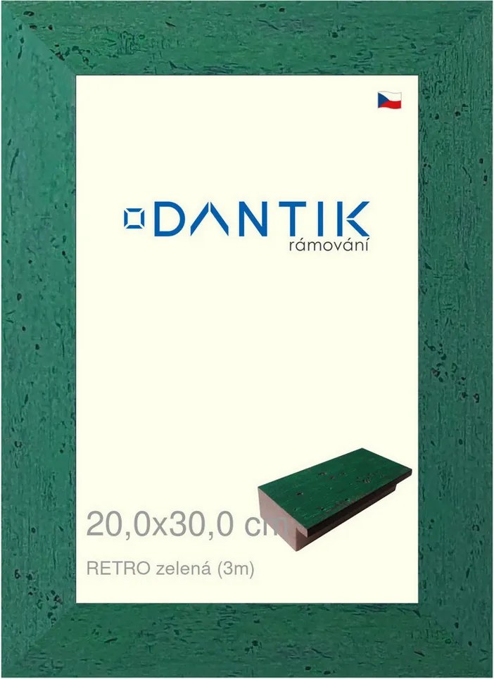DANTIK rámeček 20x30 | RETRO zelená (Sklo Čiré)