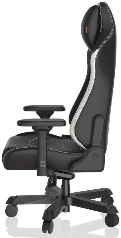 herní židle DXRacer MASTER GC/XLMF23LTD/NW