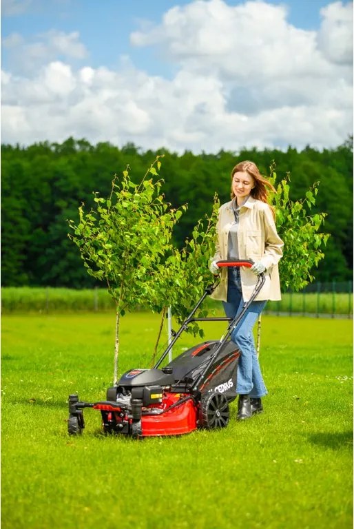 Hahn & Sohn Cedrus Benzínová sekačka KS51S-ZT s pojezdem otočná přední kola HP161050