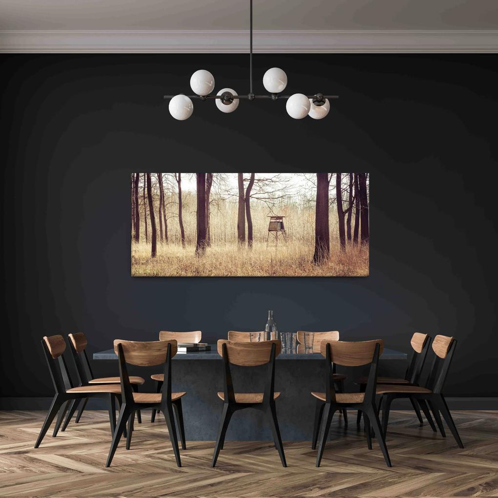 Malvis ® Obraz Posed v lese Velikost (šířka x výška): 180x80 cm