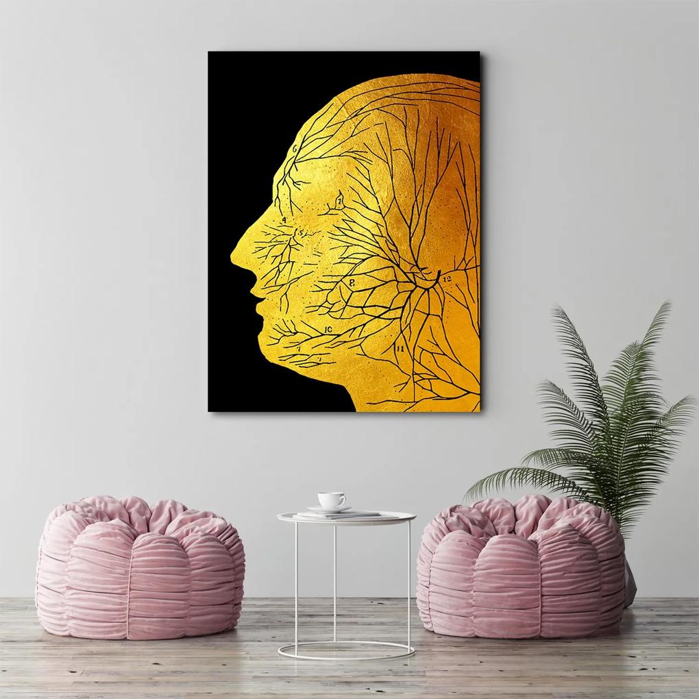 Gario Obraz na plátně Zlatá anatomie, obličejové nervy - Gab Fernando Rozměry: 40 x 60 cm