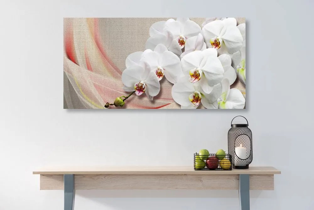 Obraz bílá orchidej na plátně Varianta: 100x50