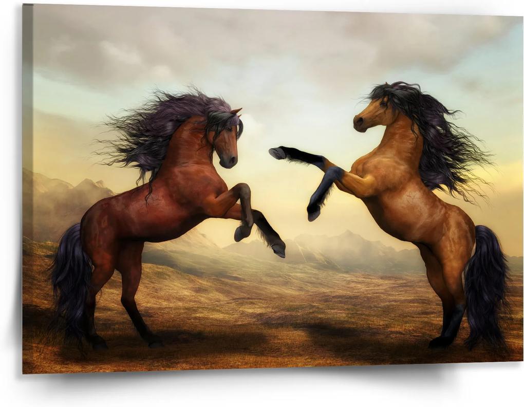 Obraz SABLO - Vzpínající se koně 150x110 cm