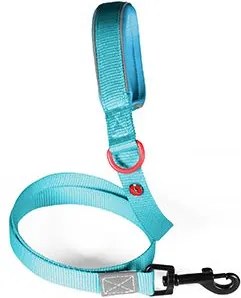Zolux S.A.S. Vodítko pes PREMIUM nylon 20mm/1,2m tyrkysová Zolux