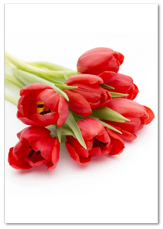 Wallmuralia Fotoobraz na skle Červené tulipány 70x100 cm