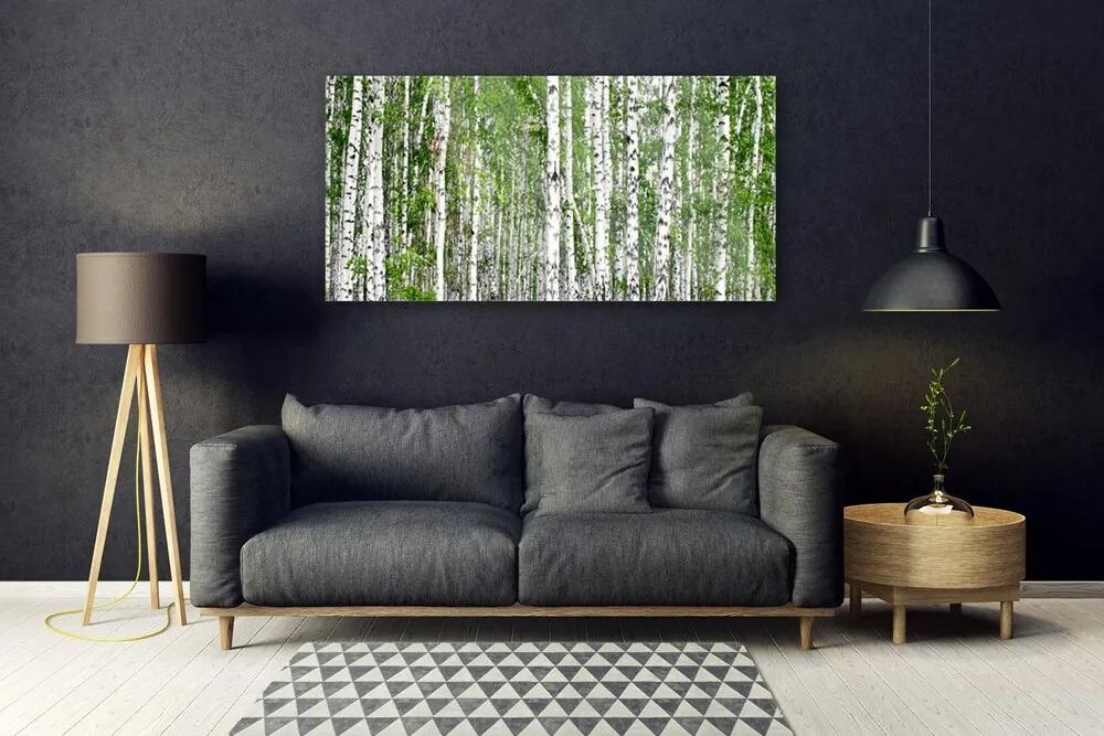 akrylový obraz Bříza Les Stromy Příroda 120x60 cm