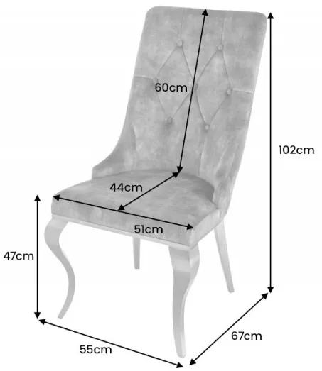 Noble Home Šedostříbrná sametová židle se lvem Modern Barock