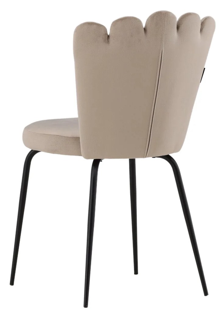 Jídelní židle Limhamn, 2ks, béžová, 42x44x82