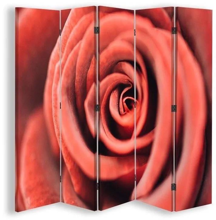 Ozdobný paraván, Květ růže v makroměřítku - 180x170 cm, pětidílný, obustranný paraván 360°