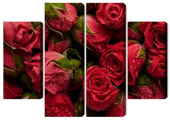 Vícedílný obraz Růže S Kapkami Vody Nedostatek Nedostatek Přírodní plátno 200x150