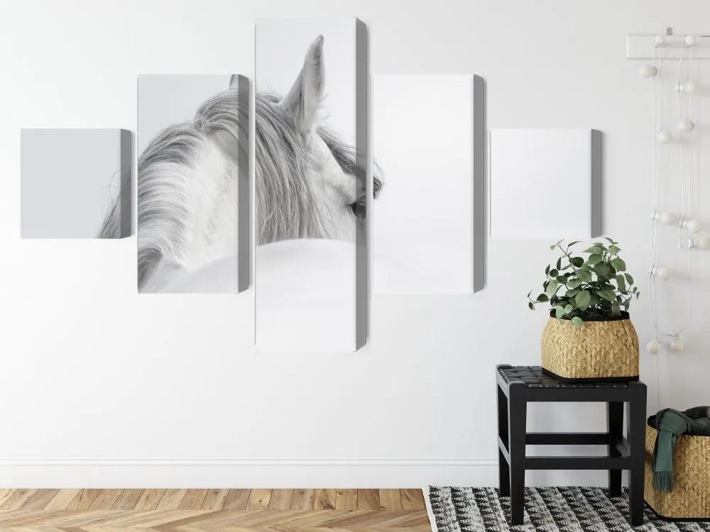 Vícedílný obraz Andaluský Kůň V Mlze Nedostatek Nedostatek Plátno Canvas 200x120
