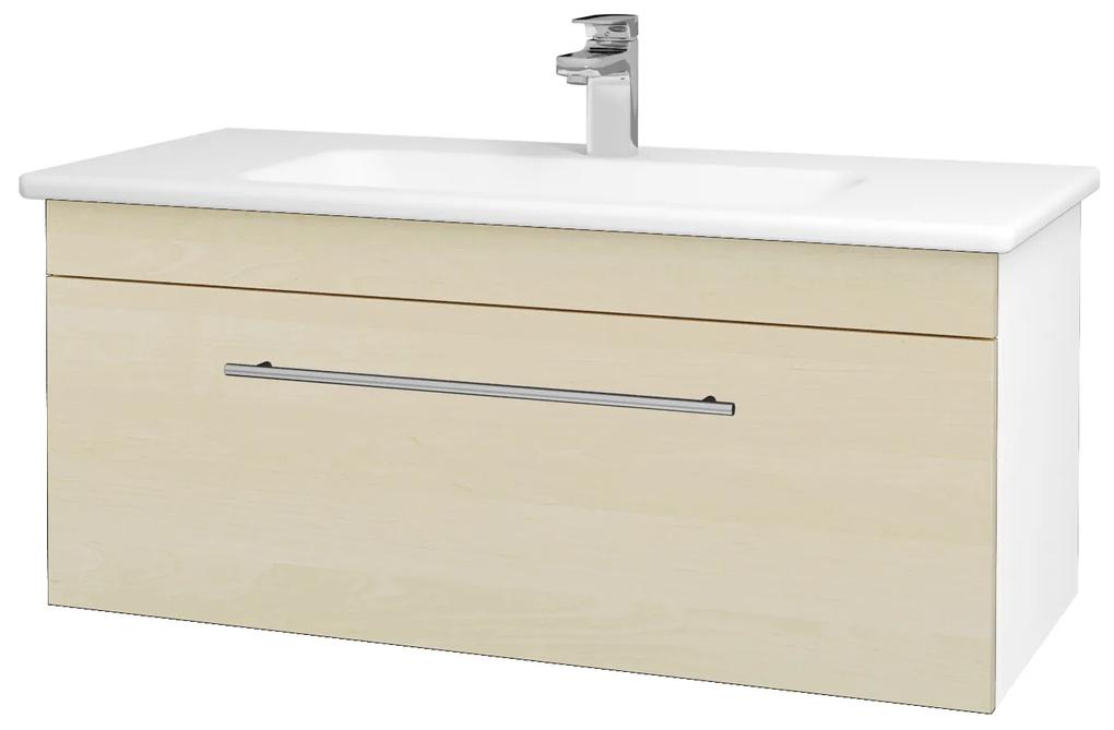 Dřevojas Koupelnová skříň ASTON SZZ 100 Varianta: N01 Bílá lesk / Úchytka T04 / N06 Lava