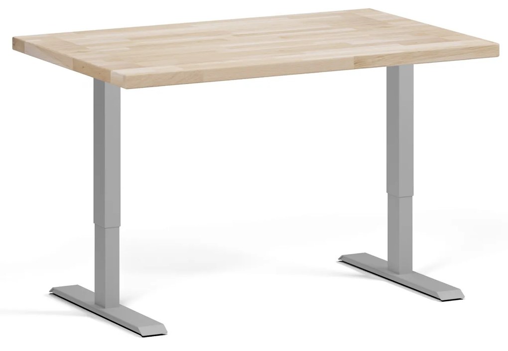 Výškově nastavitelný pracovní stůl do dílny, 2 motory, 1200 x 800 x 760-1230 mm, šedá podnož
