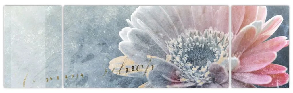 Obraz - Zimní květ (170x50 cm)