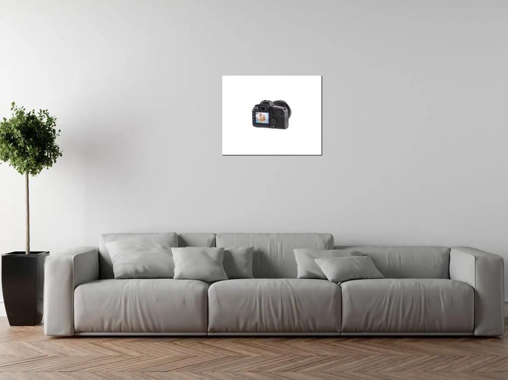 Gario 1 dílný fotoobraz na plátně Rozměry: 40 x 60 cm
