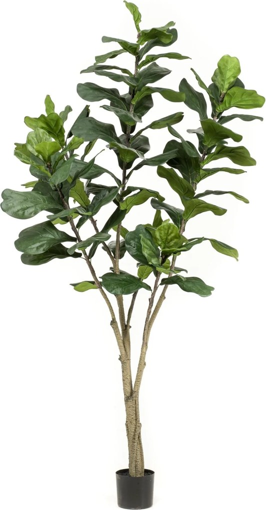 Ficus Lyrata umělý V 210 cm
