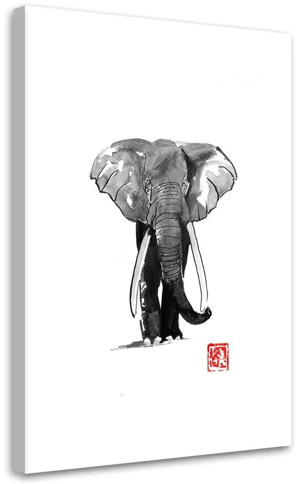 Gario Obraz na plátně Procházka se slony - Péchane Rozměry: 40 x 60 cm