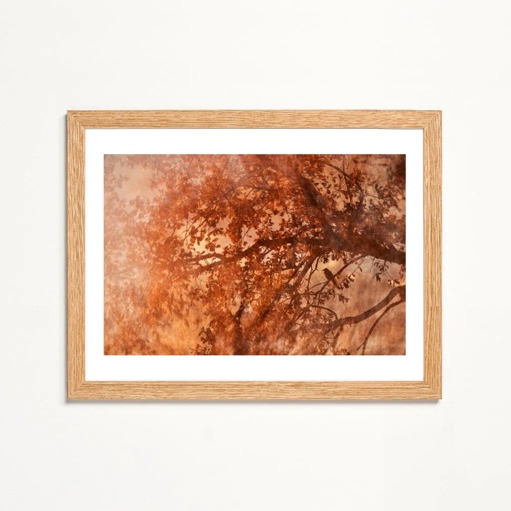 Jiří Hřebíček | Enchanted in Autumn Rám: Černý, Velikost: 20 x 30 cm