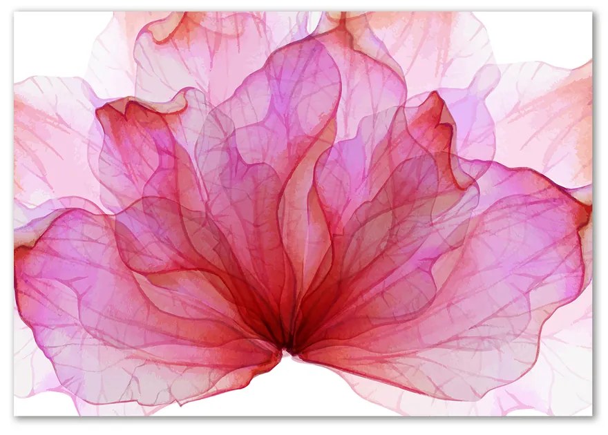 Wallmuralia Foto obraz sklo tvrzené Růžová květina 100x70 cm