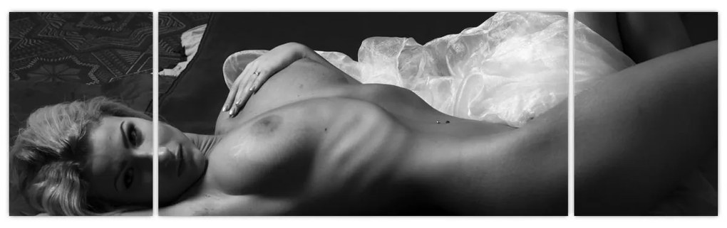 Obraz - Akt ležící ženy (170x50 cm)