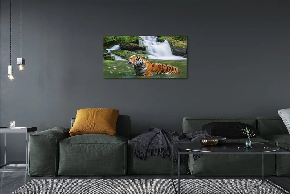 Obrazy na plátně tygr vodopád 100x50 cm