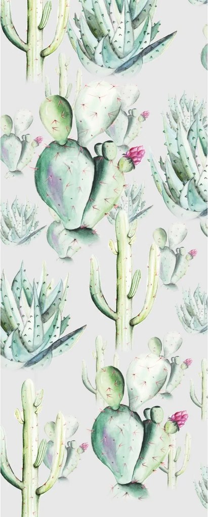 Komar Vliesová fototapeta Cactus Grey 100 x 250 cm