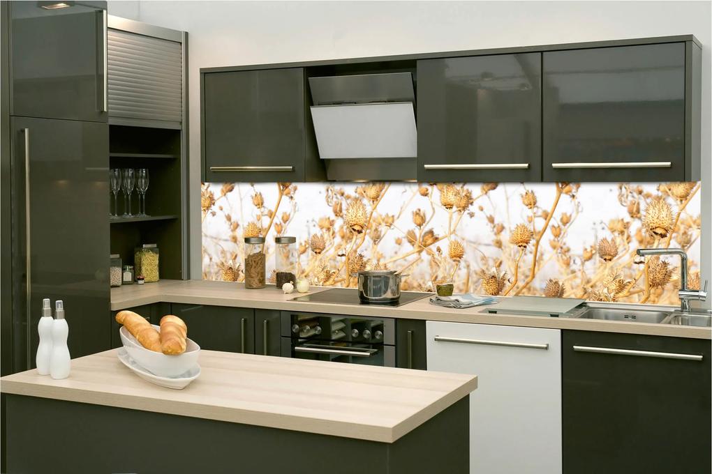 DIMEX | Fototapeta do kuchyně Suché bodláčí KI-260-180 | 260 x 60 cm | béžová, šedá