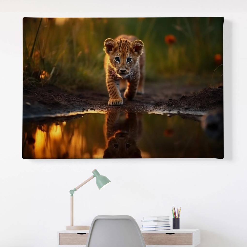 Obraz na plátně - Mládě lva v louži FeelHappy.cz Velikost obrazu: 120 x 80 cm