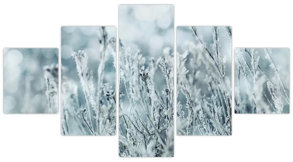 Obraz - Kouzlo zimy (125x70 cm)