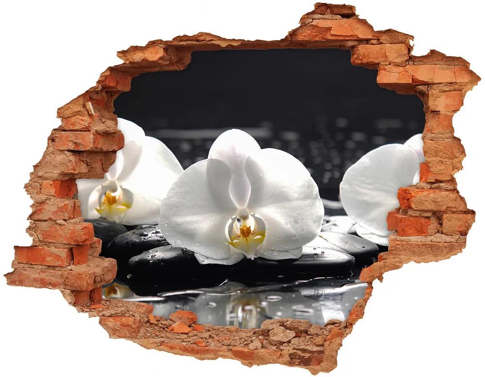 Wallmuralia Samolepící díra na stěnu nálepka Orchidej 90x70 cm