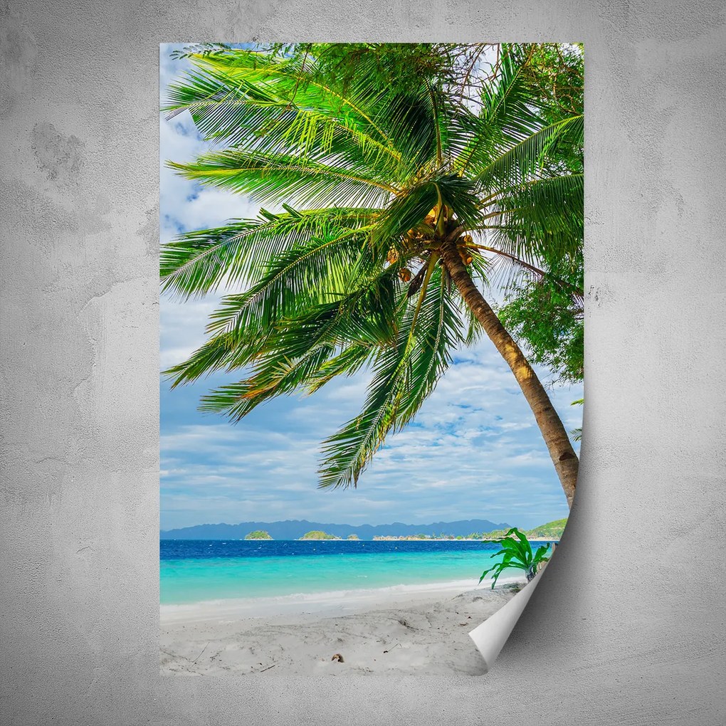 Plakát - Palma na pobřeží (80x120 cm) - PopyDesign
